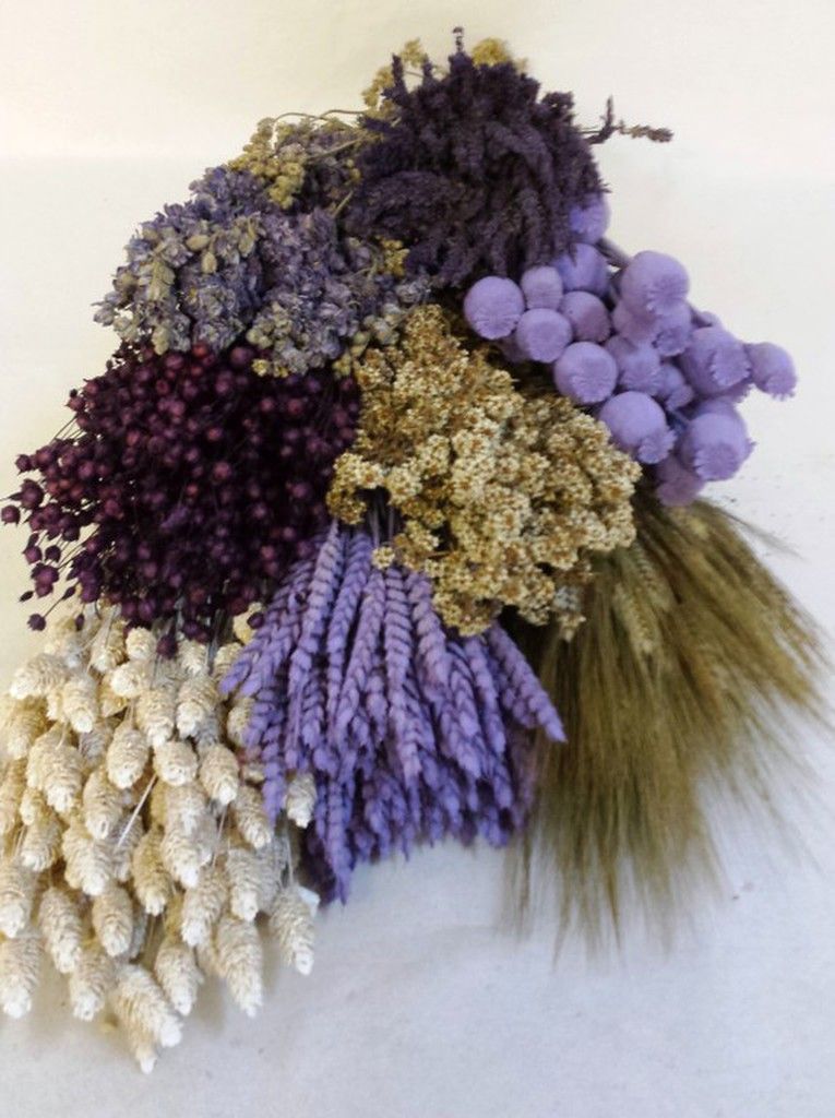 Packs de Flors Seques de Colors | Decoració Natural i Duradora — Flors ...
