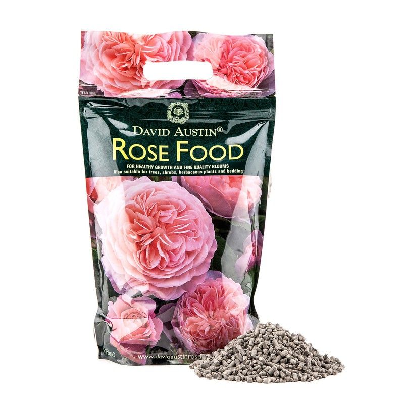 Engrais spécial David Austin Rosal Food 600 g Engrais et produits ...