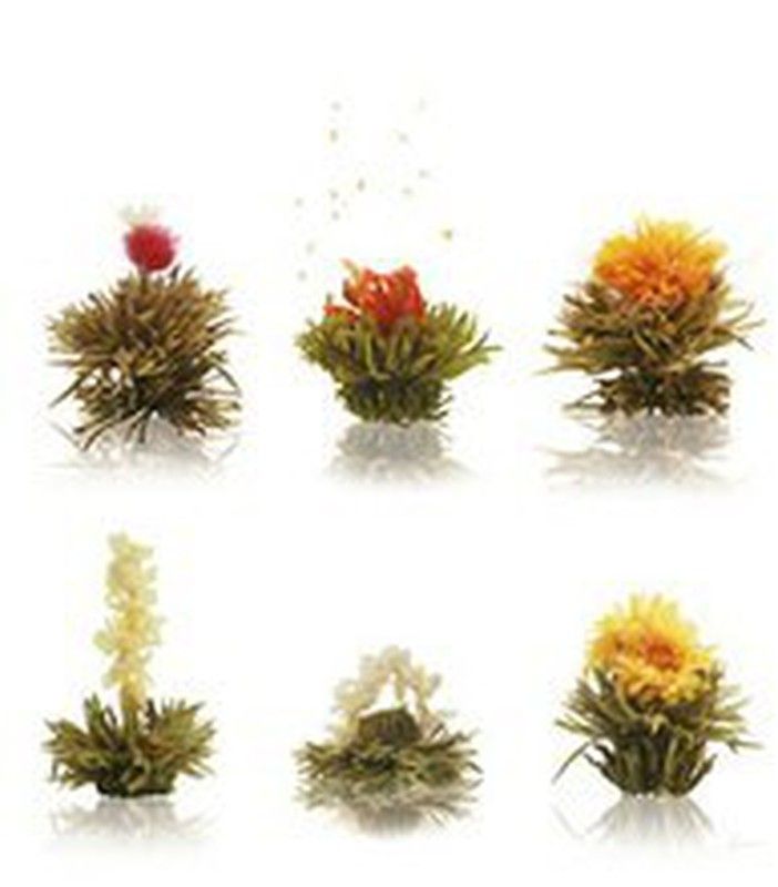 Caja De Luxe con 6 Flores de Té Blanco — Floresfrescasonline