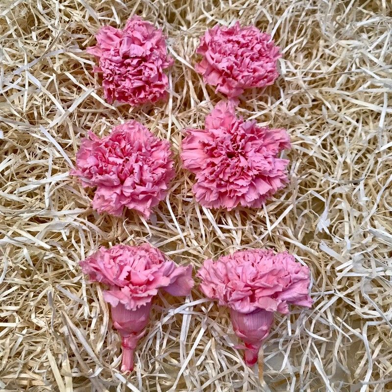 Claveles Preservados caja 6 uds. Flores Preservadas — Floresfrescasonline