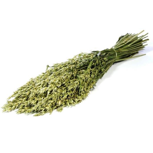 Espigas de Trigo Natural secas 100 espigas Verdes, Espigas, Ramajes y ...