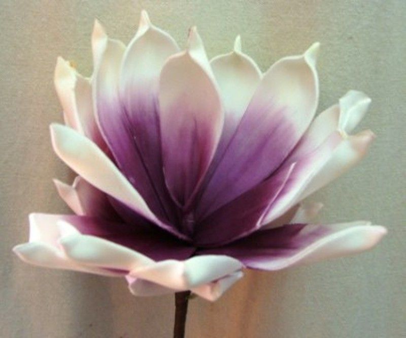 Polyfoam de flor aberta de magnólia — Flores Frescas Online