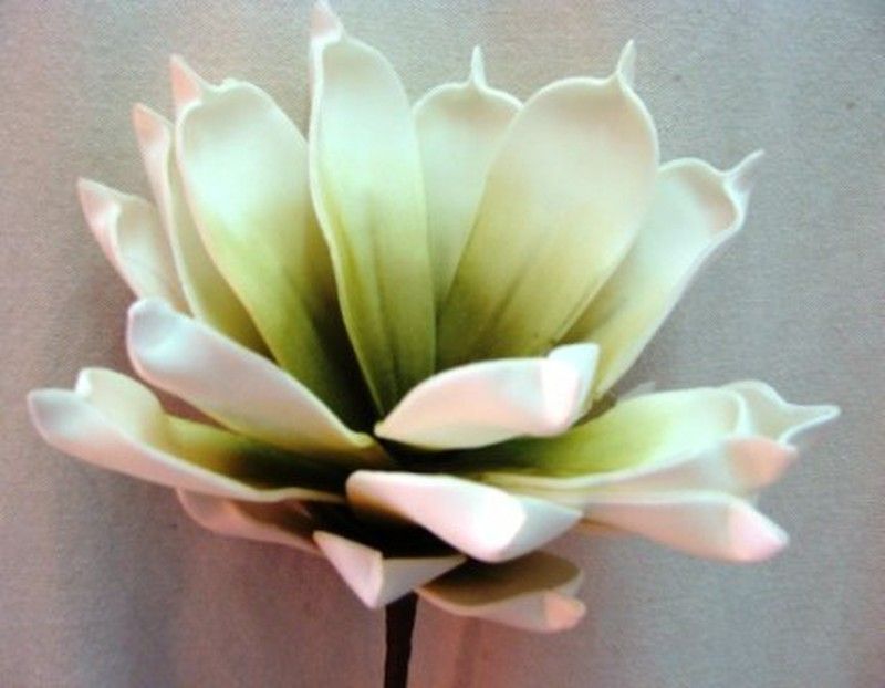 Polyfoam de flor aberta de magnólia — Flores Frescas Online