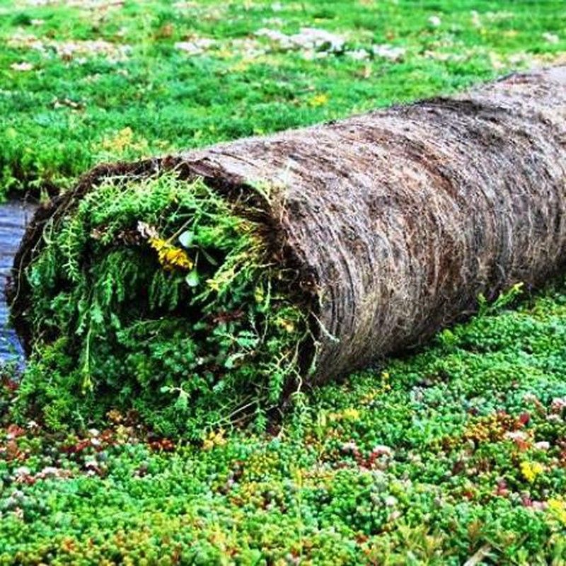 Tepe Coberta Vegetal 1m x 2,40 m — Flors Catalunya
